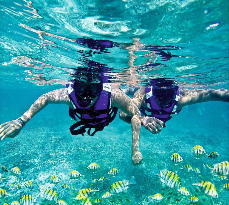 Punta Cana Private Catamaran Tour 2025 - 3 Hr Cap Cana Coast Cruise