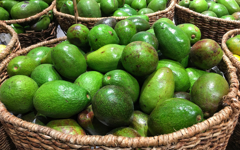 25 Best fruits of the Dominican Republic - Exotic and popular fruits in DR