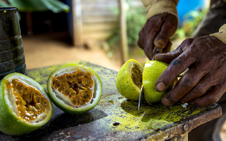 25 Best fruits of the Dominican Republic - Exotic and popular fruits in DR