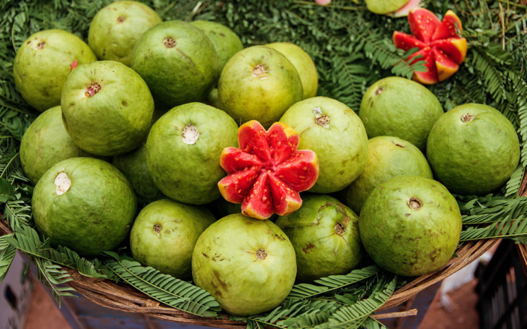 25 Best fruits of the Dominican Republic - Exotic and popular fruits in DR