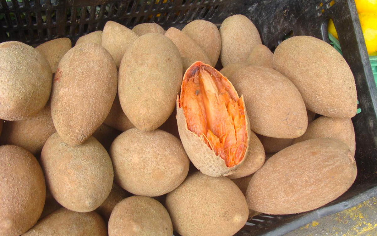 25 Best fruits of the Dominican Republic - Exotic and popular fruits in DR